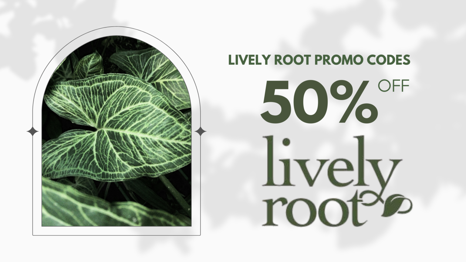 Unleash Savings with Lively Root Promo Codes - 2025